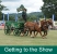 Honiton Show