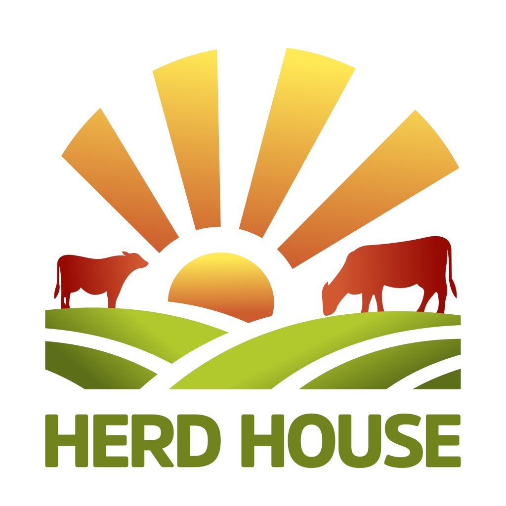 Honiton Show – Links